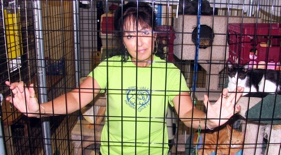 sb | Warwick Valley Humane Society
